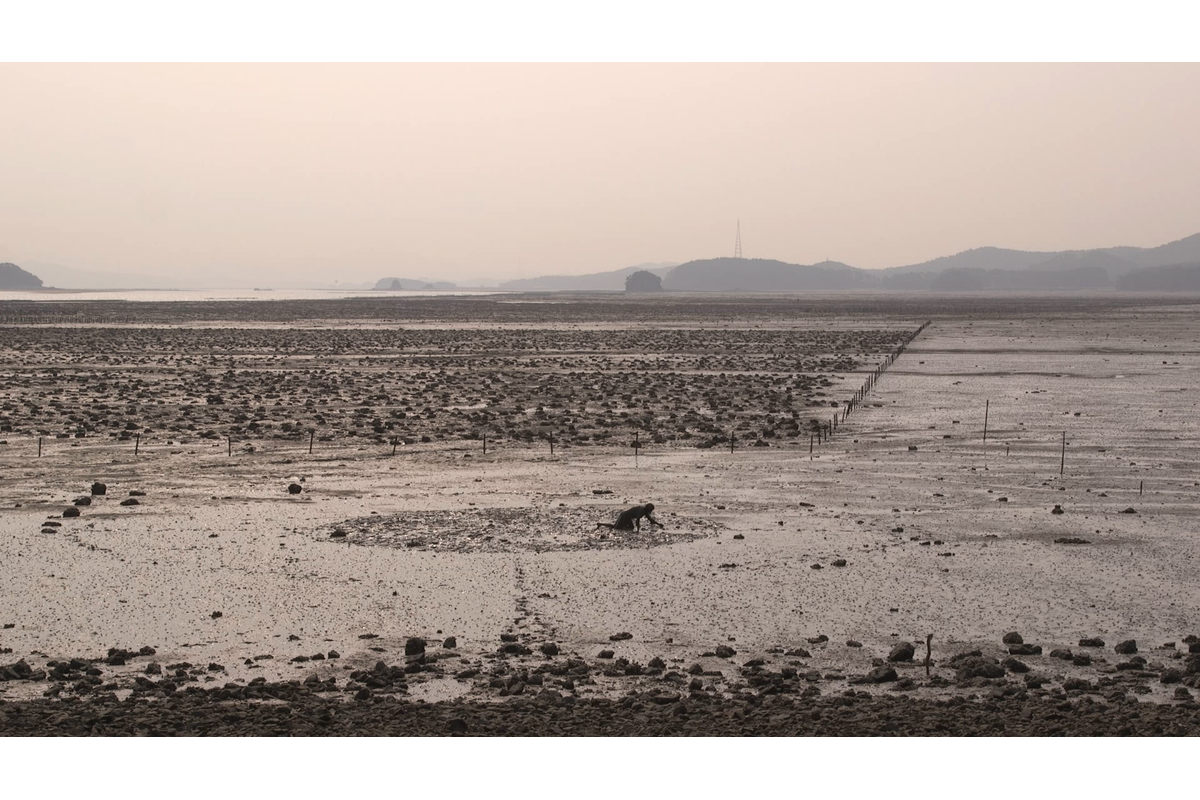 "Enticing the Tide," Video-performance, Taean, South Korea, 2017 ...